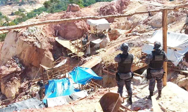 Casos graves de malária põem em alerta cidades de MT - Nativa News